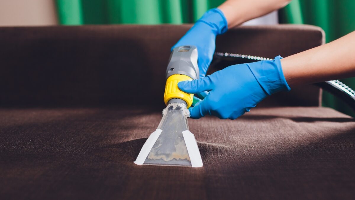 5 Ways To Remove Mold From Fabric Furniture Without Bleach - Frequip